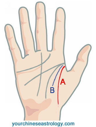 Line of Mars in Palm Reading, Support Life Line, Line of Influence