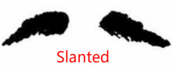 Eyebrow Shapes and Personality, Types of Eyebrows – Chinese Face Reading